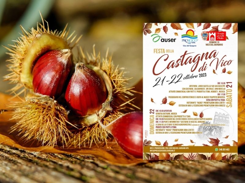 ITALIA ECONOMY - 21 e 22 ottobre: "Festa della Castagna di Vico"